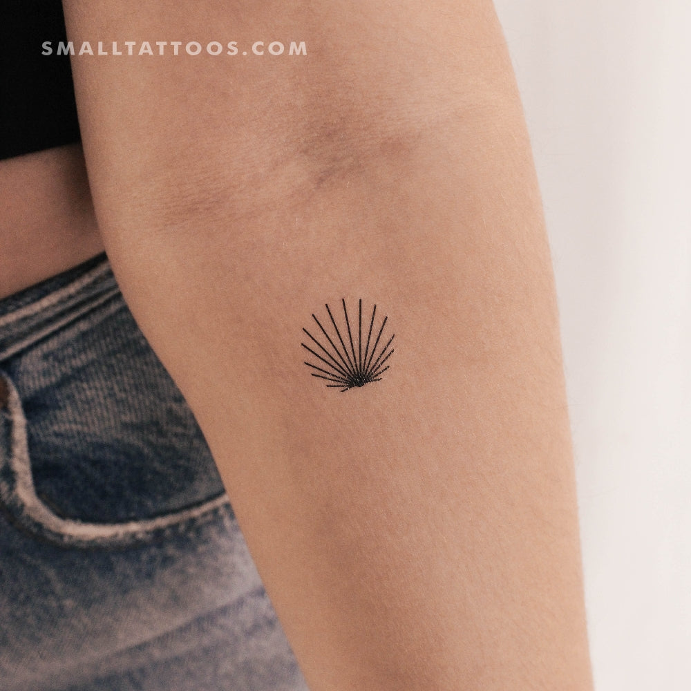 Minimalist Shell Temporary Tattoo (Set of 3) – Small Tattoos
