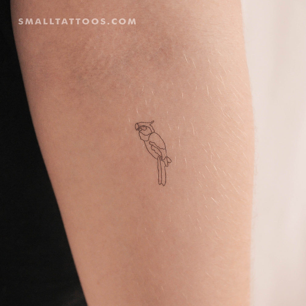 Fine Line Parrot Temporary Tattoo (Set of 3) – Small Tattoos