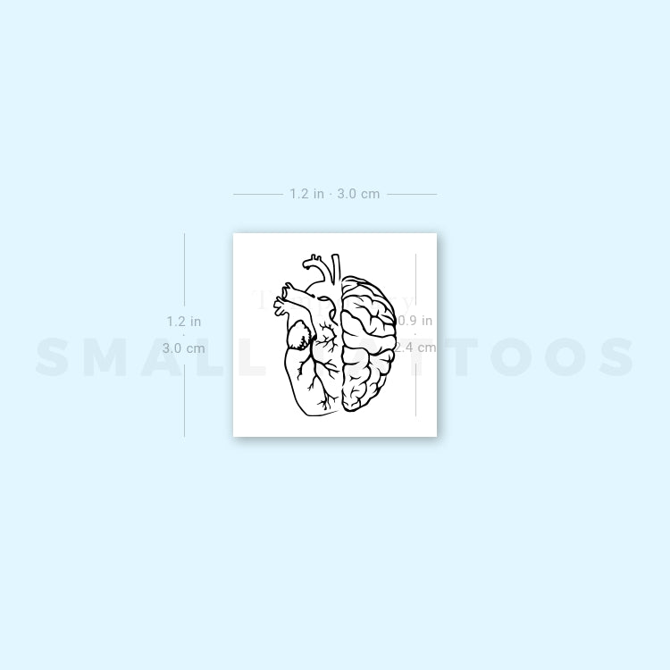 Brain & Anatomical Heart Outline Temporary Tattoo – Small Tattoos